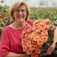 Marjoland Rozen | Onze rozen